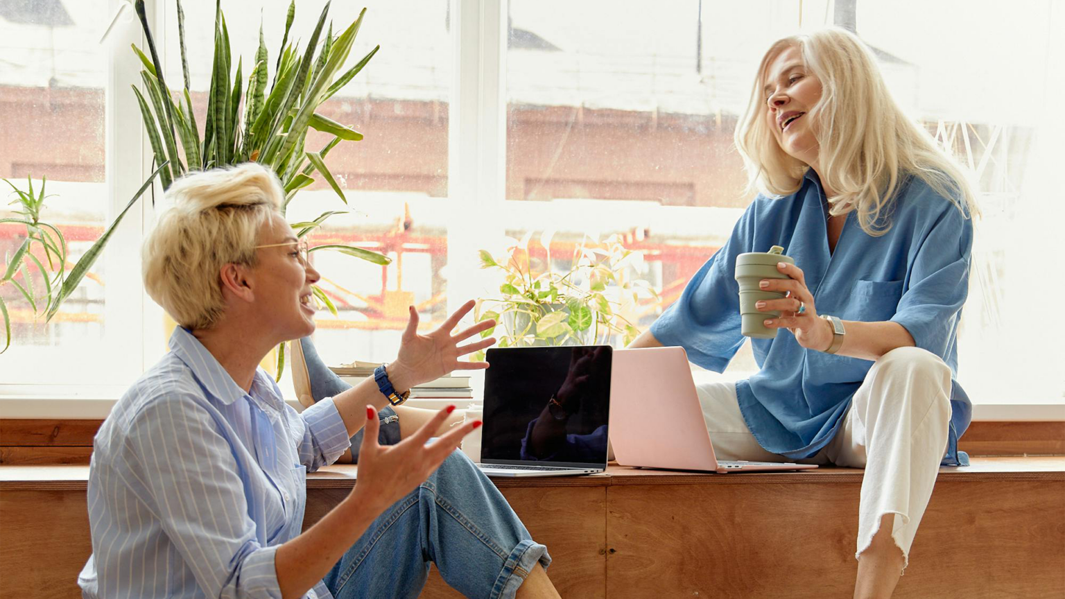 What's the best contraceptive pill for perimenopause? | The Lowdown